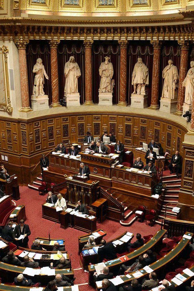 Le Sénat adopte le projet de loi relatif à la Liberté de Création, à l ...